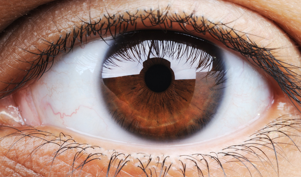 Long Term Disability for Vision Loss: What You Need to Know